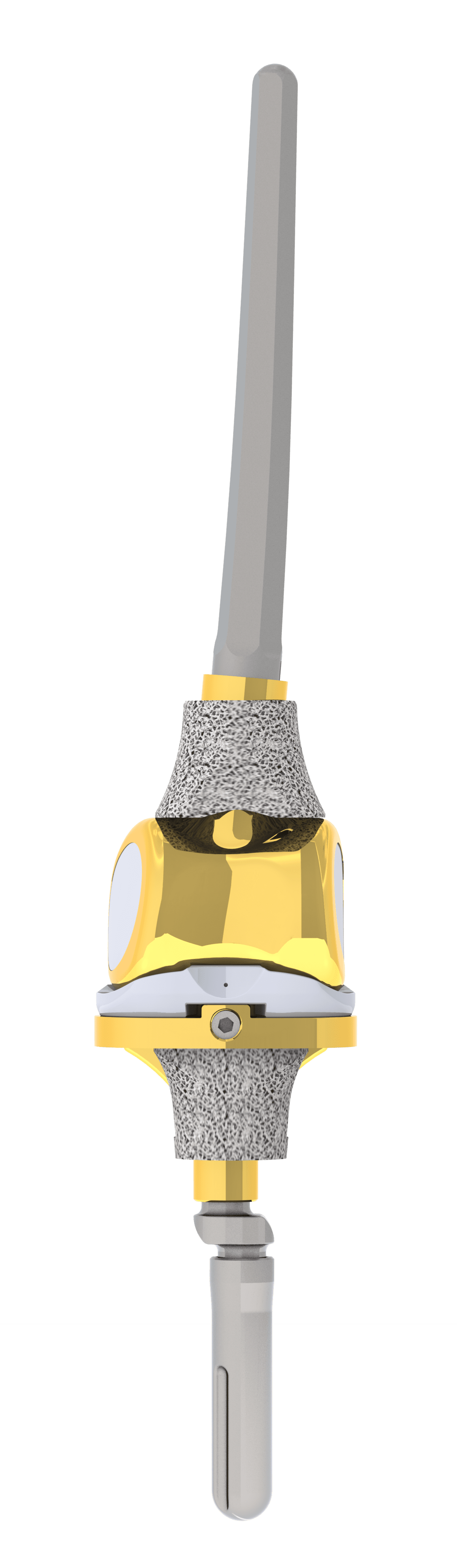 Lower Extremity Prosthetics | Implantcast North America