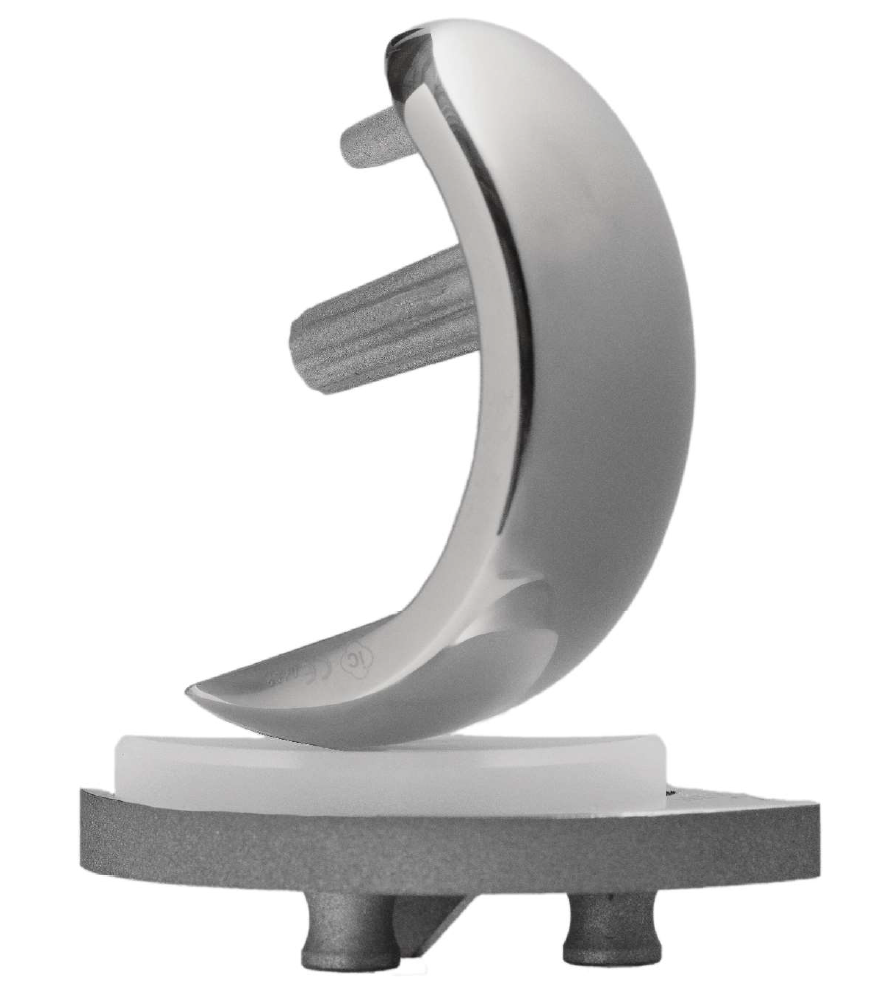Joint Replacement Prostheses | Implantcast North America