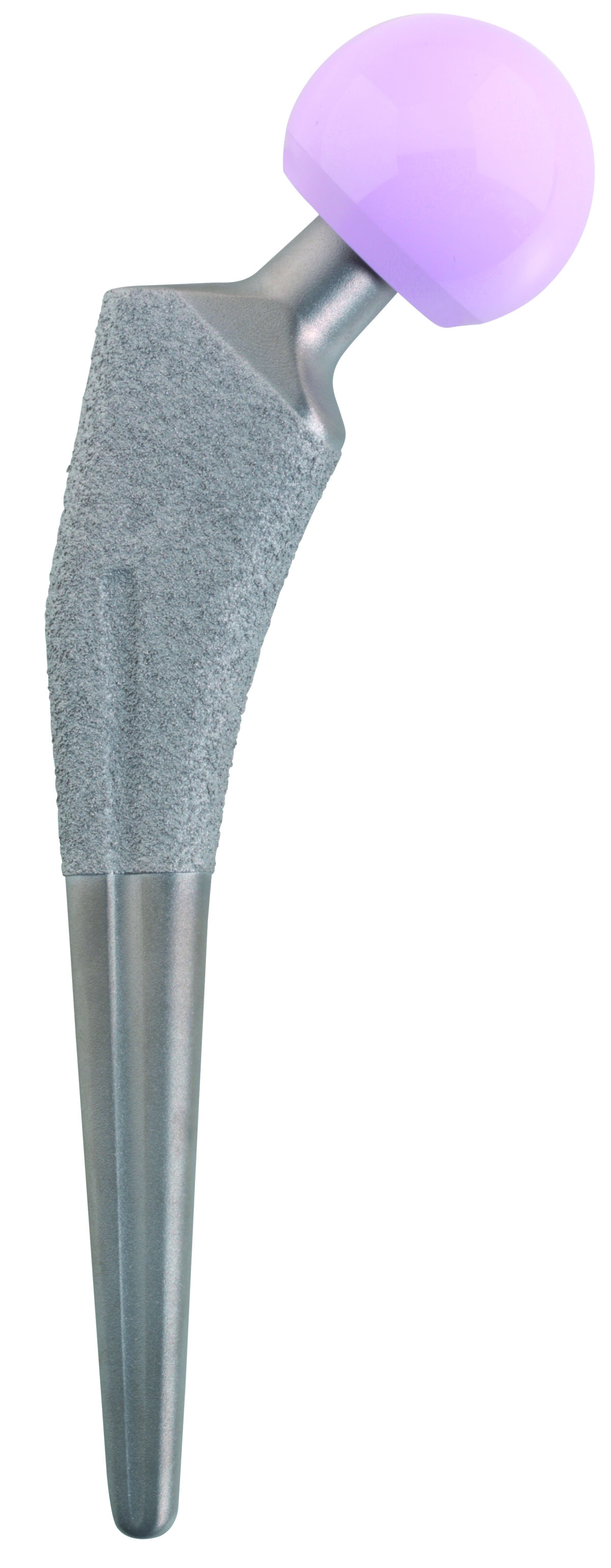 Joint Replacement Prostheses | Implantcast North America