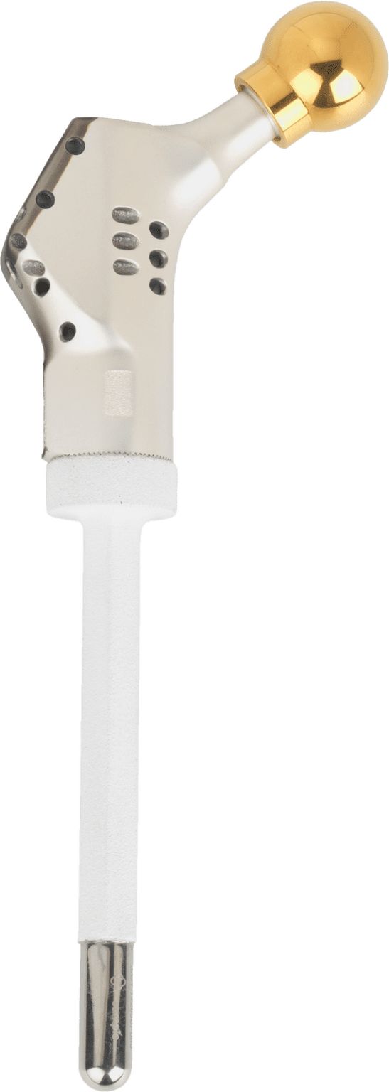 Lower Extremity Prosthetics | Implantcast North America