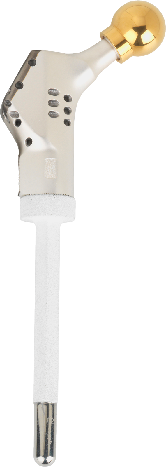 Lower Extremity Prosthetics | Implantcast North America