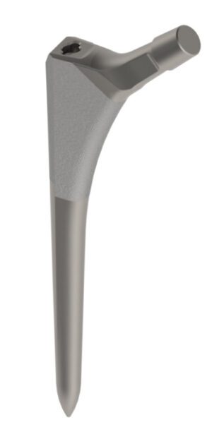 Hip Joint Prostheses | Implantcast North America